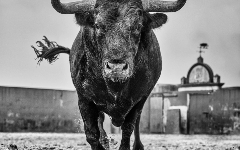 Hotel Clio | A Luxury Collection Hotel in Denver CO